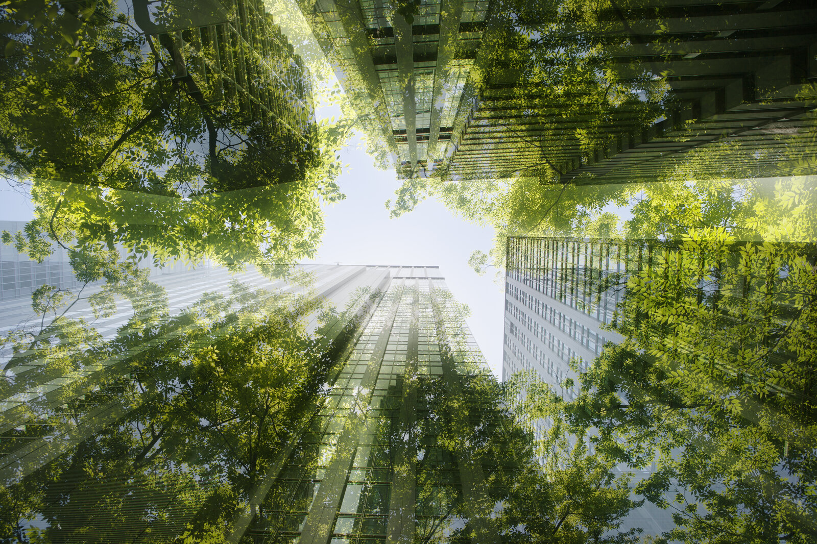 Lets Make Lighting Sustainable Together Ledvance Ledvance